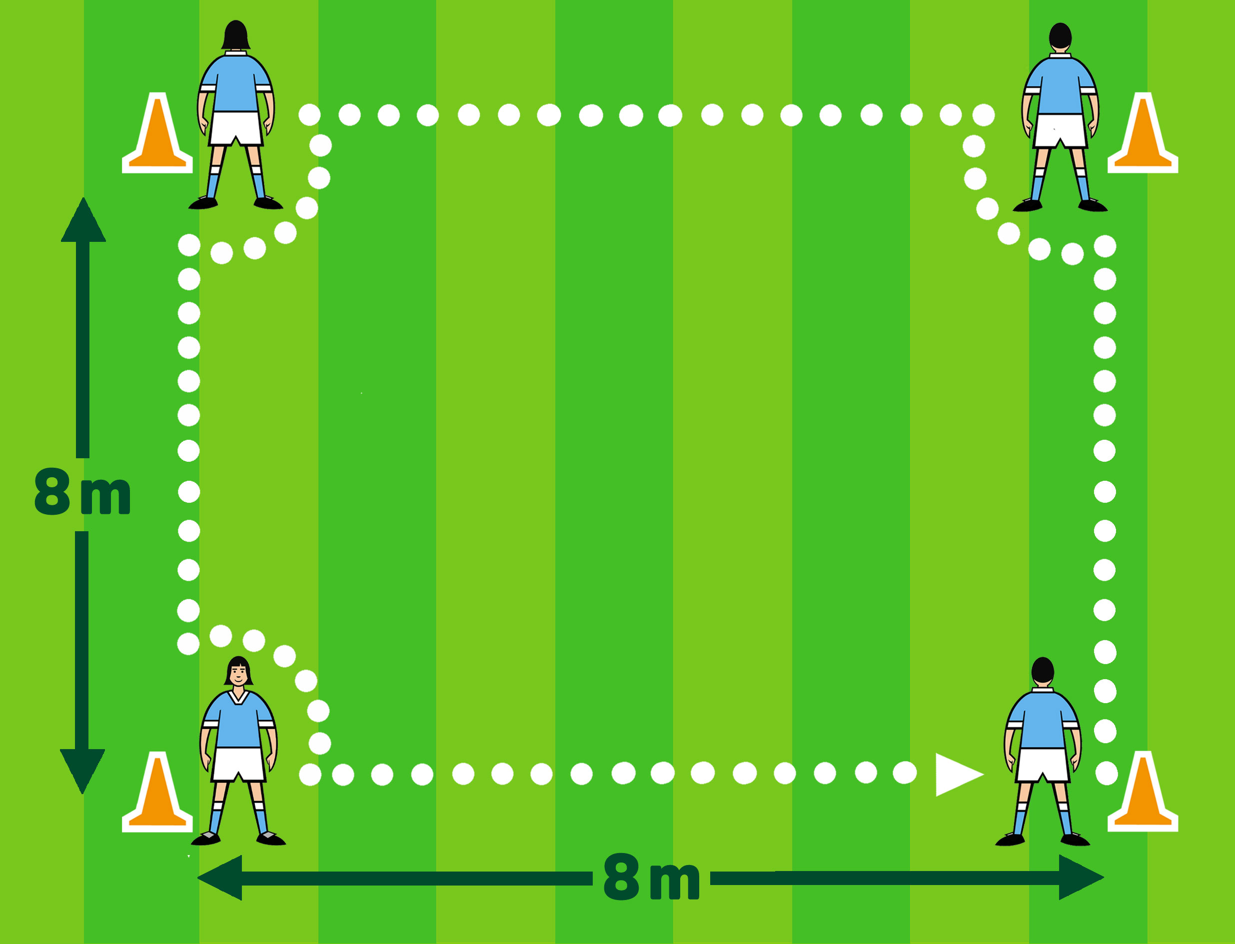 The Roll - Grid Roll | Tobar